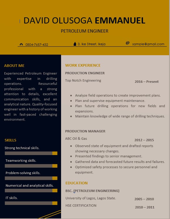CV Templates For All Job Fields In Nigeria 2022 MyJobMag