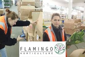 Flamingo Horticulture Salary - MySalaryScale