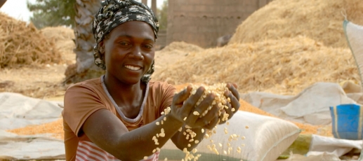 Babban Gona Reviews - MySalaryScale